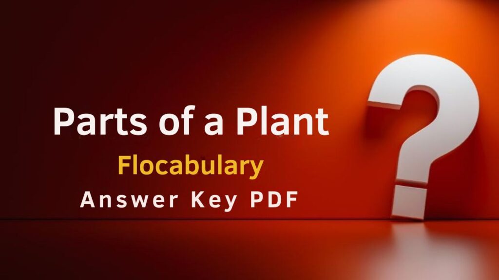 Parts of a Plant Flocabulary Answers [FREE]